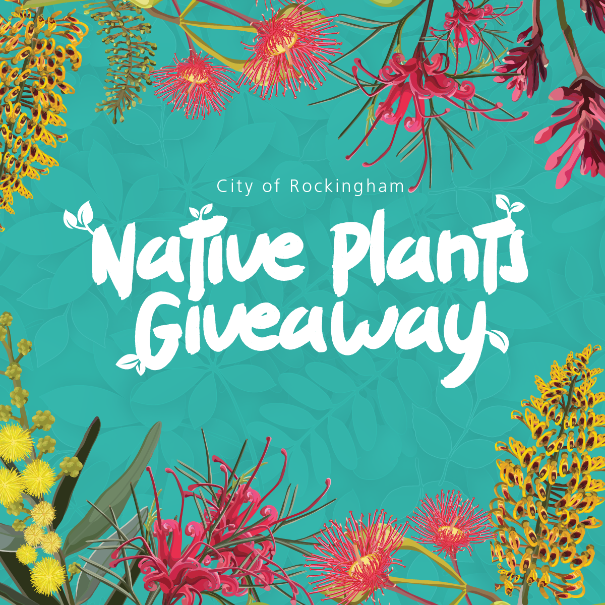 Native Plants Giveaway - City of Rockingham