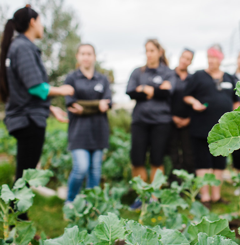 Community - City of Rockingham