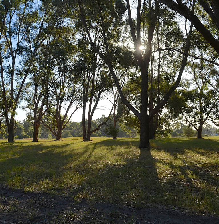 Karnup District Structure Plan - City of Rockingham