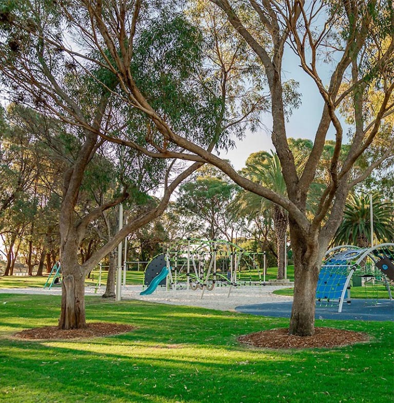 Trees - City of Rockingham