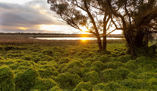 City of Rockingham Official Website - City of Rockingham