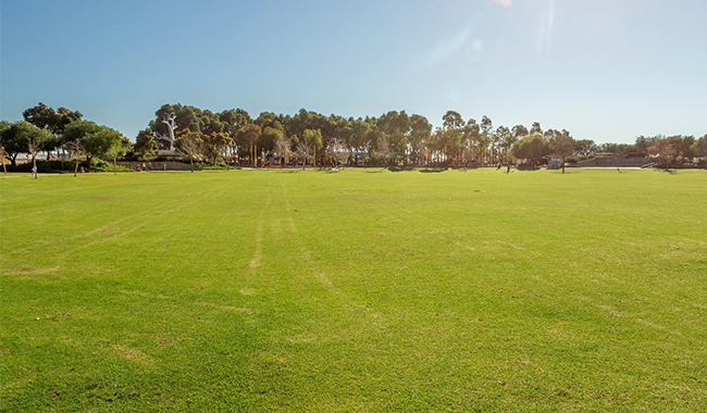 Survey on Lawns in Urban Areas - City of Rockingham